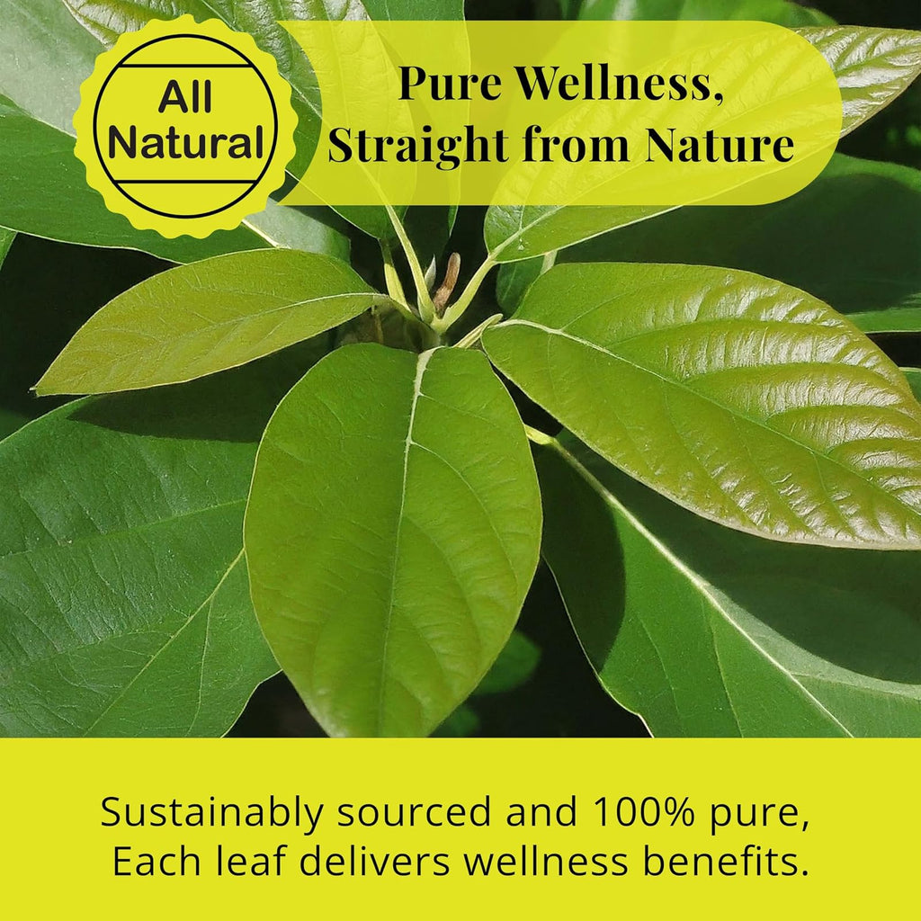 Organic dried avocado leaves benefits