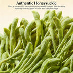 organic dried honeysuckle tea