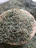 organic dried horsetail herbal supplement