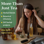 Organic dried horsetail tea leaves