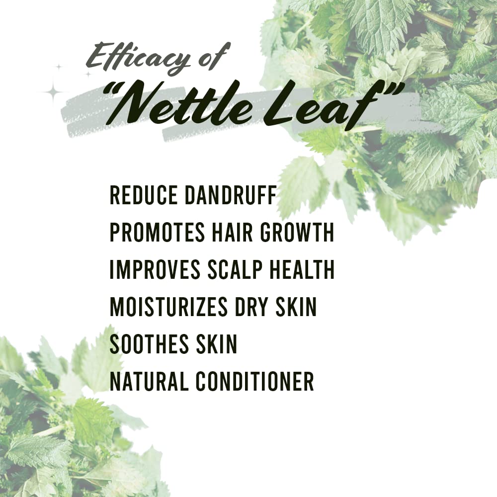 organic dried nettle for tea