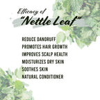 organic dried nettle for tea