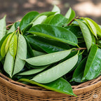 Organic dried soursop leaves benefits