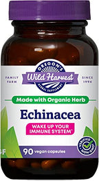 organic echinacea capsules for immunity