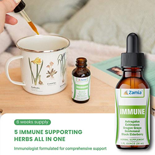 organic echinacea for everyday use