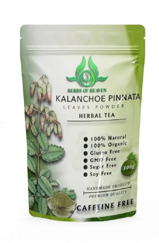 organic echinacea for holistic health