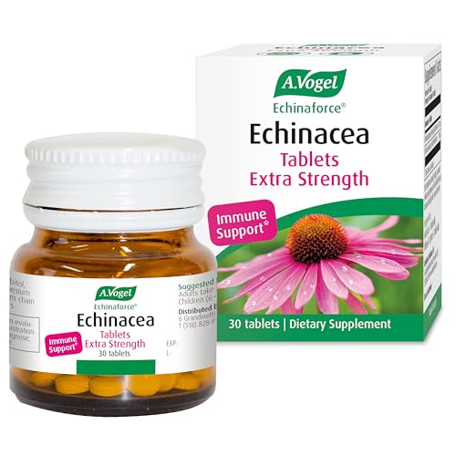 organic echinacea for natural wellness