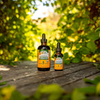 organic echinacea for wellness