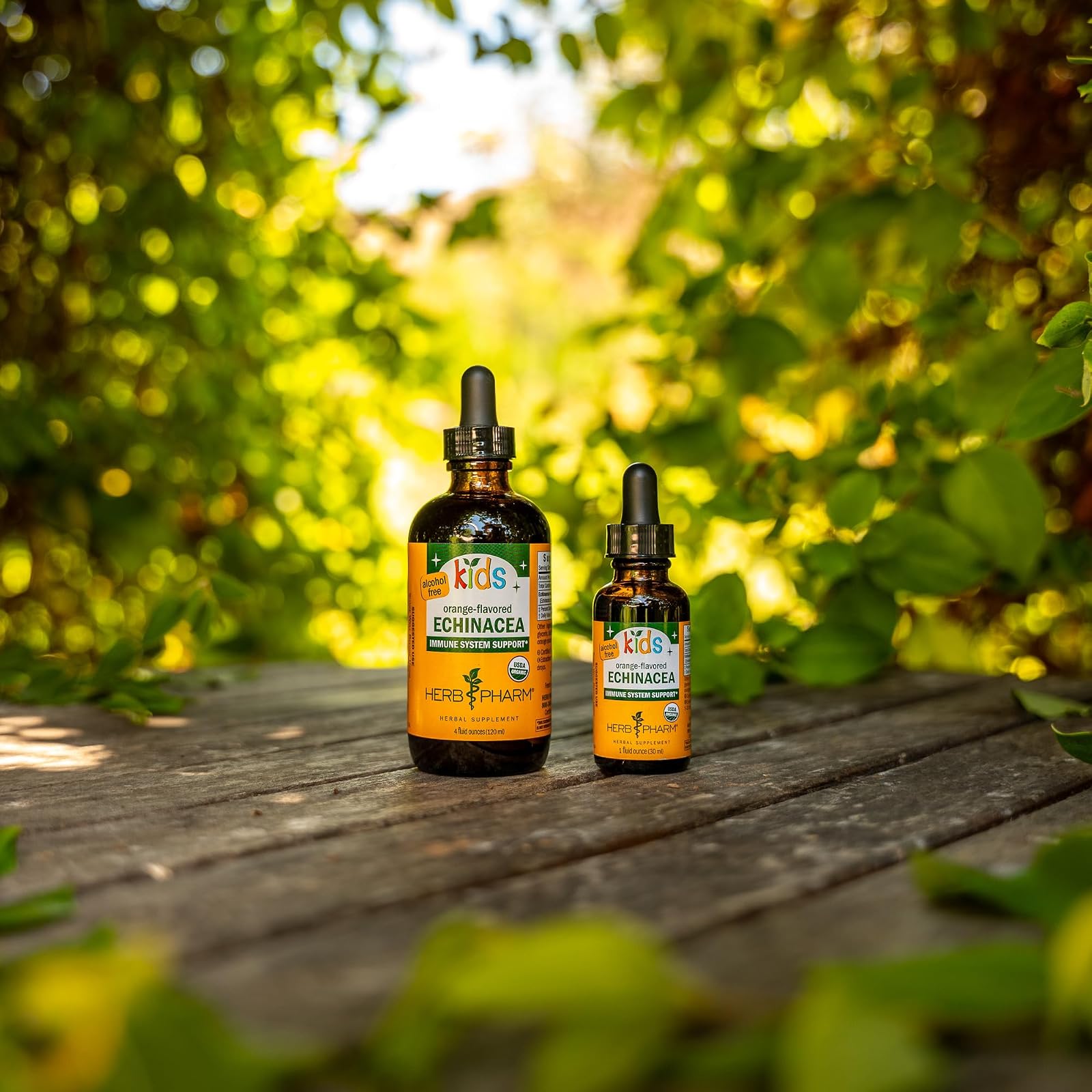organic echinacea for wellness