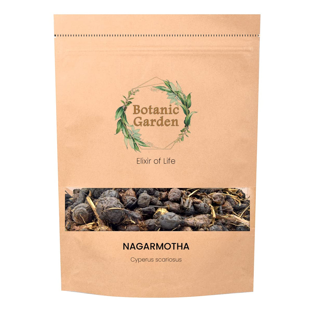 organic echinacea herb for digestion