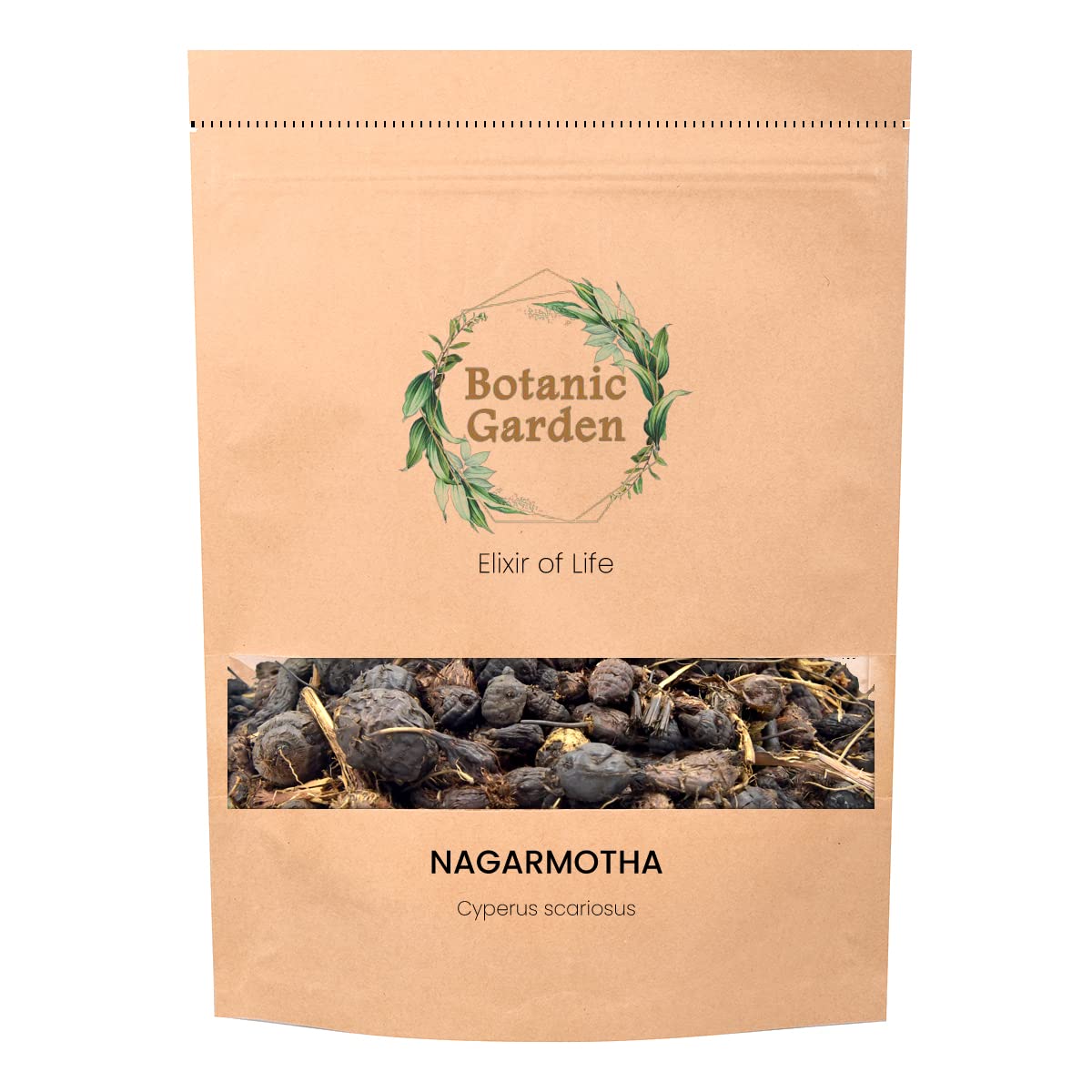 organic echinacea herb for digestion