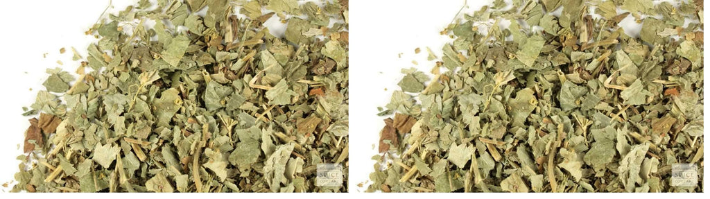 organic echinacea herb for wellness