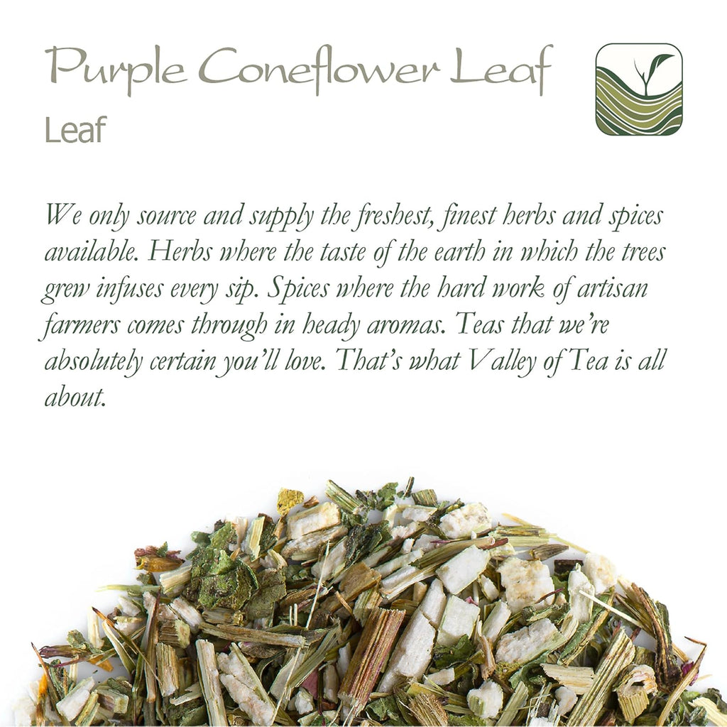organic echinacea herbal infusion