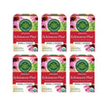 Organic Echinacea herbal tea bags