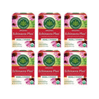 Organic Echinacea herbal tea bags