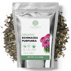 organic echinacea herbal tea benefits