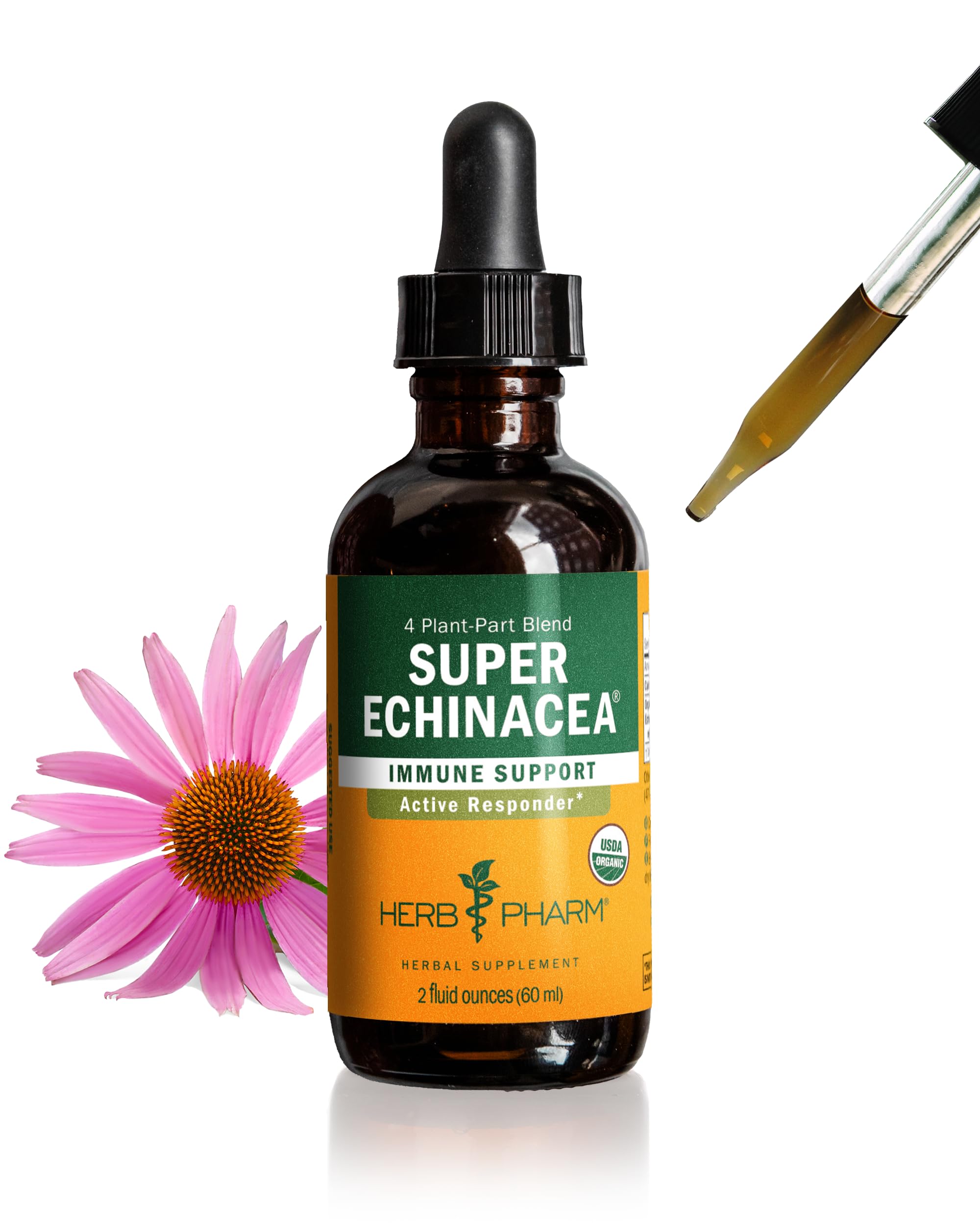 organic echinacea immune support