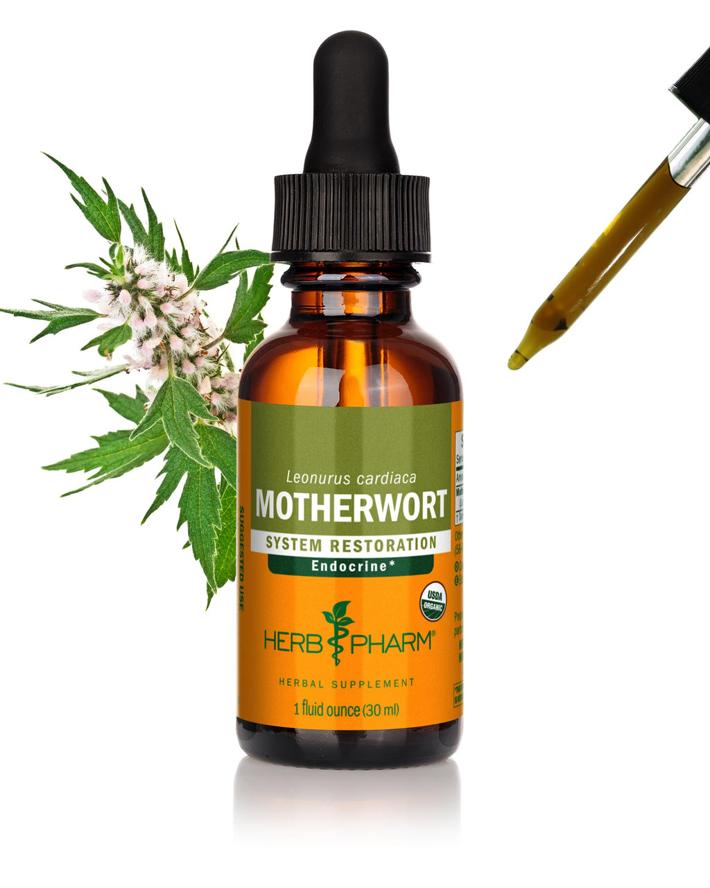 organic echinacea liquid extract