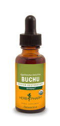 organic echinacea liquid extract