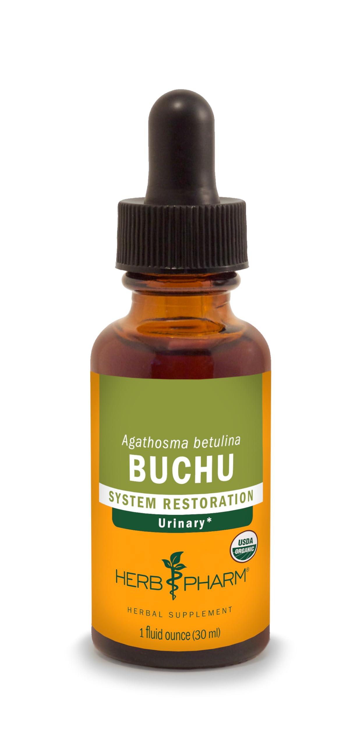 organic echinacea liquid extract