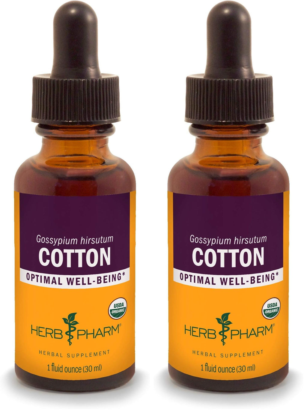 organic echinacea liquid extract