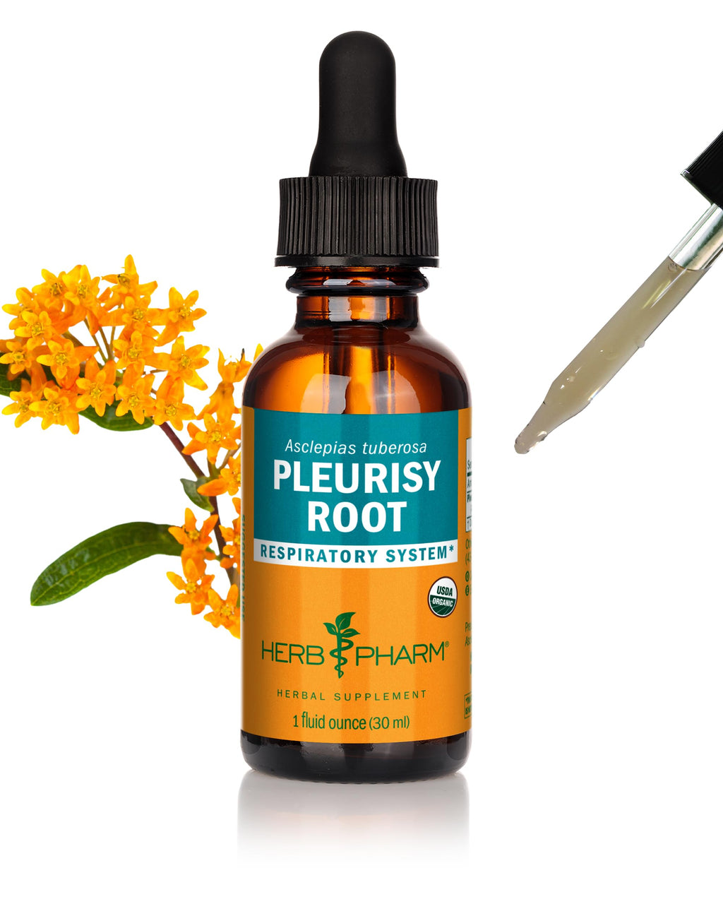 organic echinacea liquid extract