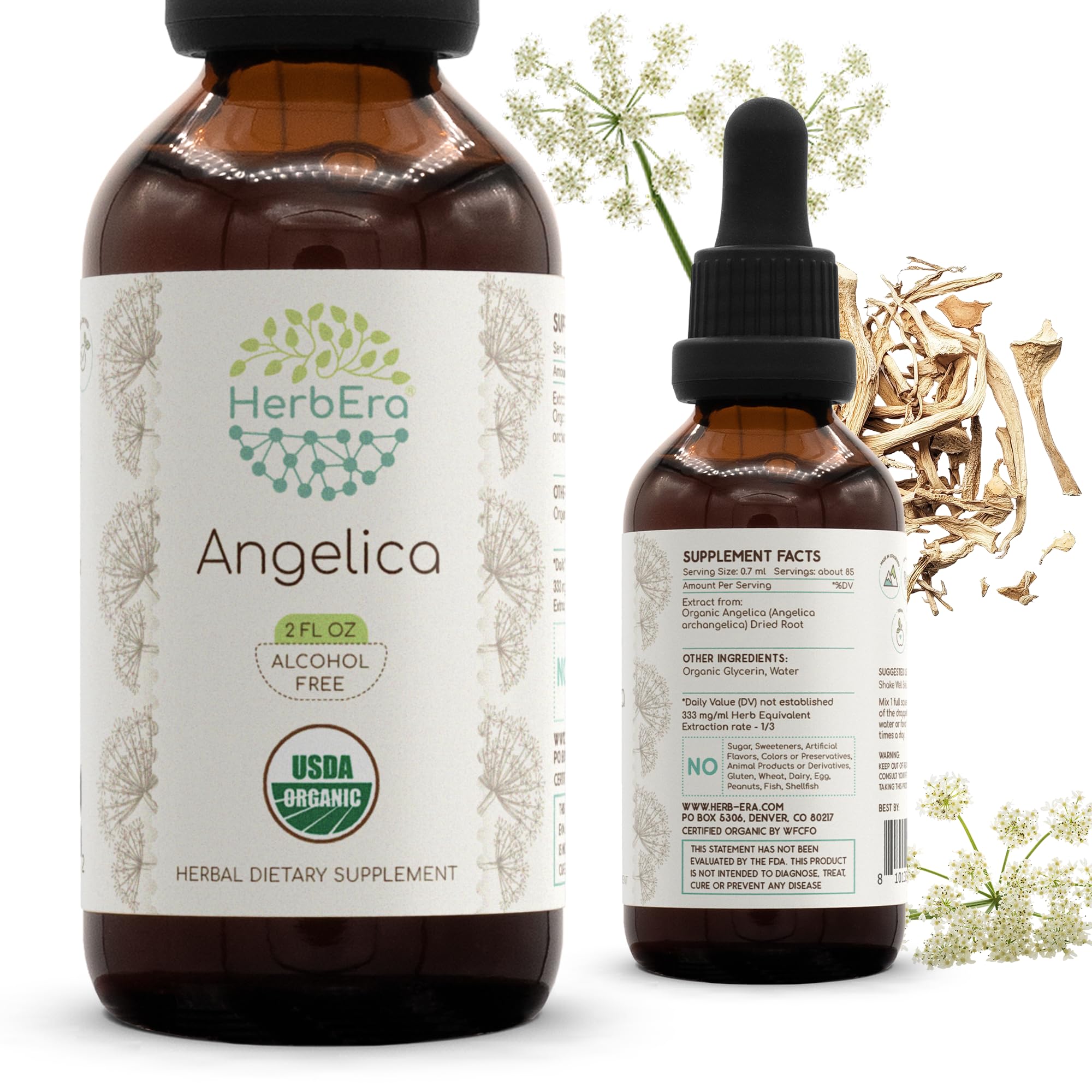 organic echinacea root extract