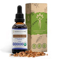organic echinacea root tincture benefits