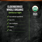 organic elderberry benefits for wellness