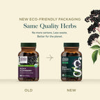 organic elderberry capsules for vitality