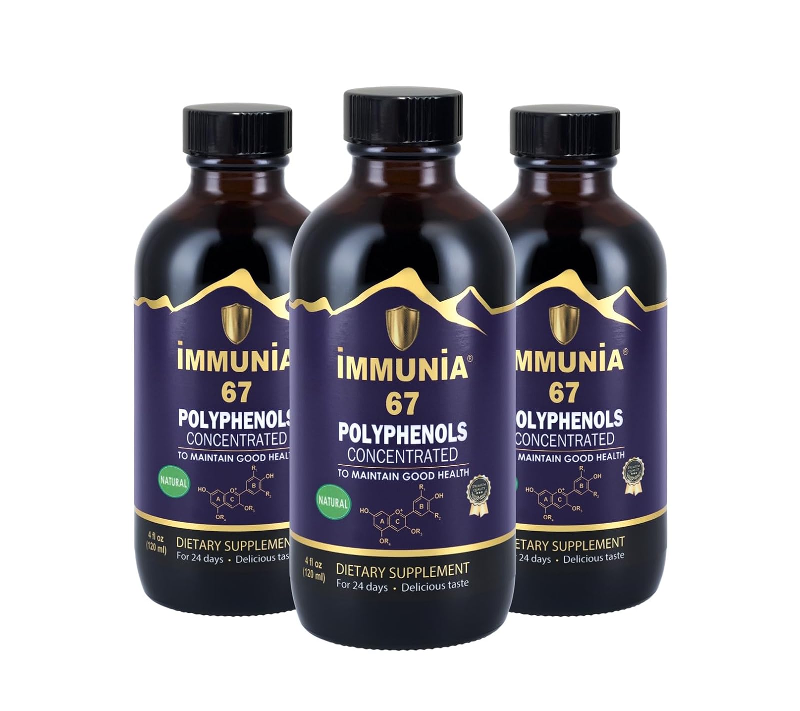 organic elderberry concentrate for immunity