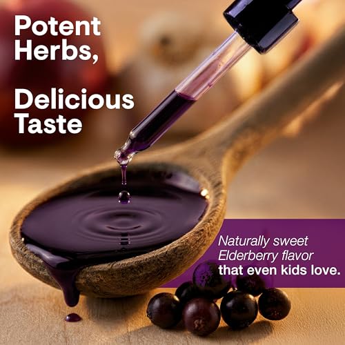 organic elderberry for cold season