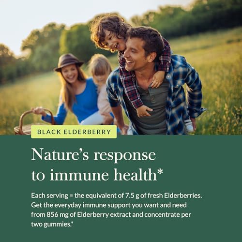 organic elderberry for daily wellness