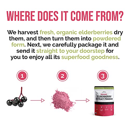 organic elderberry for family health