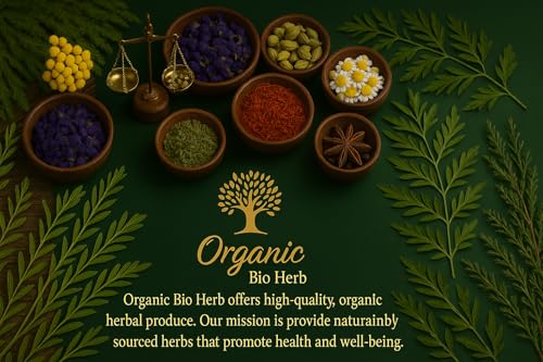 organic elderberry for holistic health