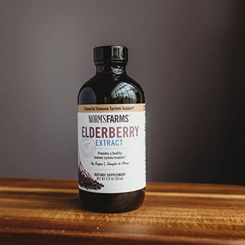 organic elderberry for immune boost