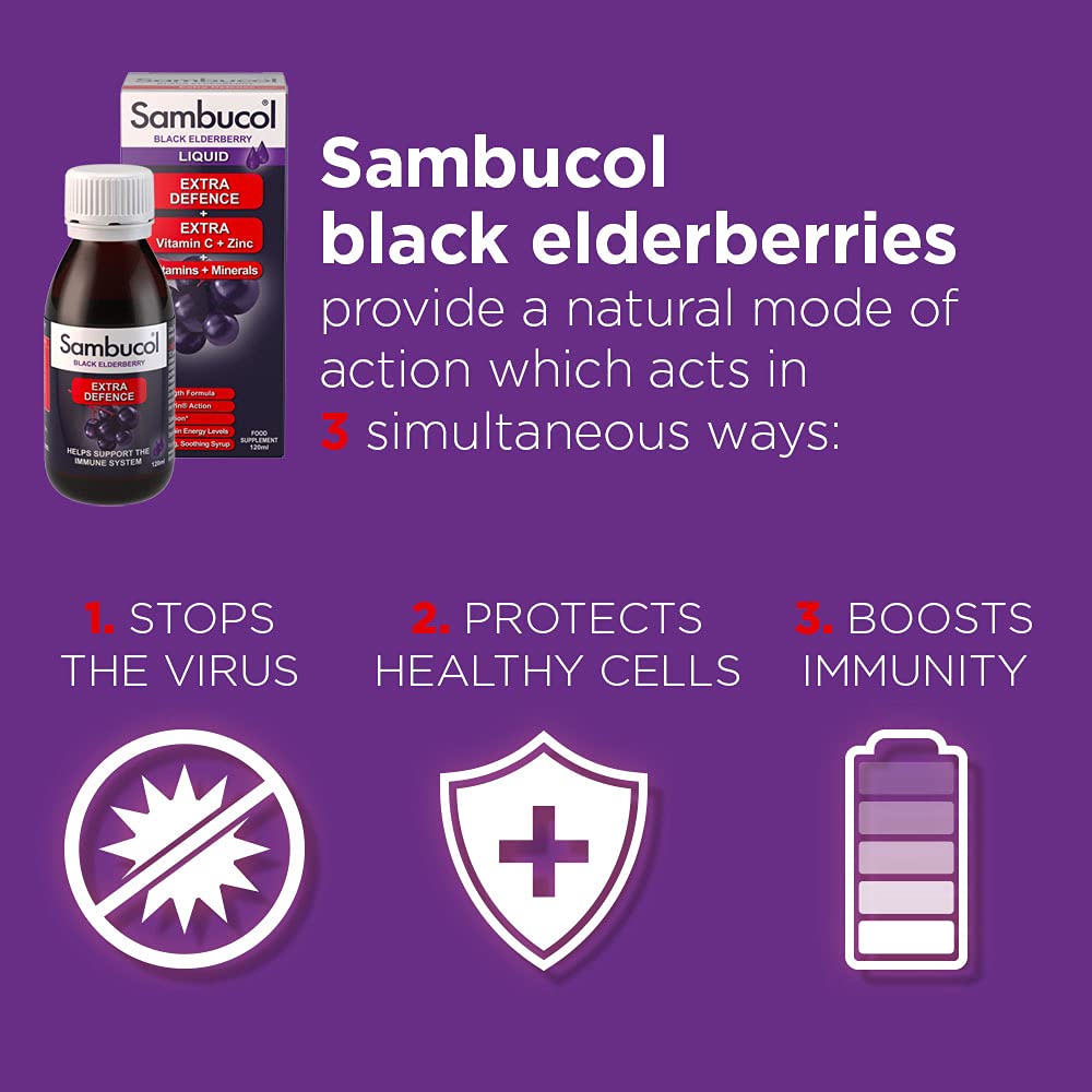 organic elderberry for seasonal wellness