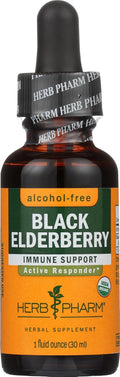 organic elderberry glycerite for wellness