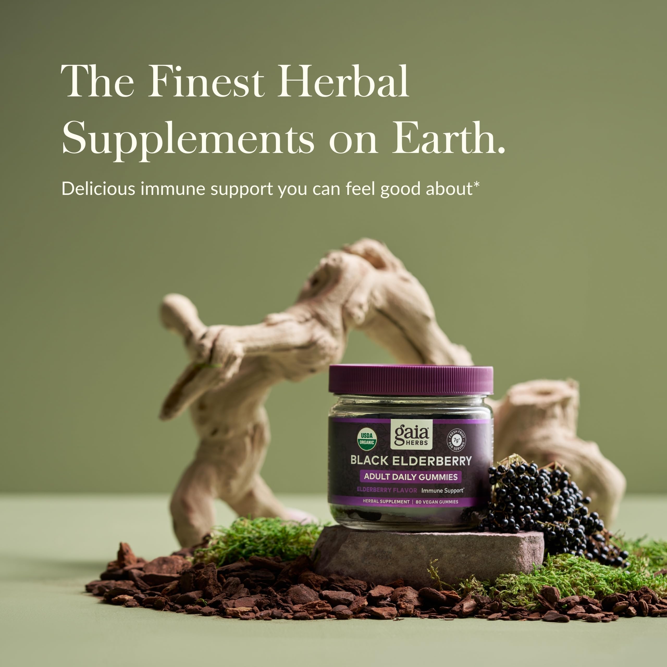 organic elderberry gummies for daily health
