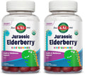 organic elderberry gummies for kids