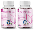 organic elderberry gummies for kids