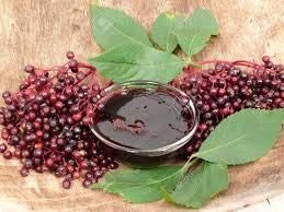 organic elderberry jelly for immune support