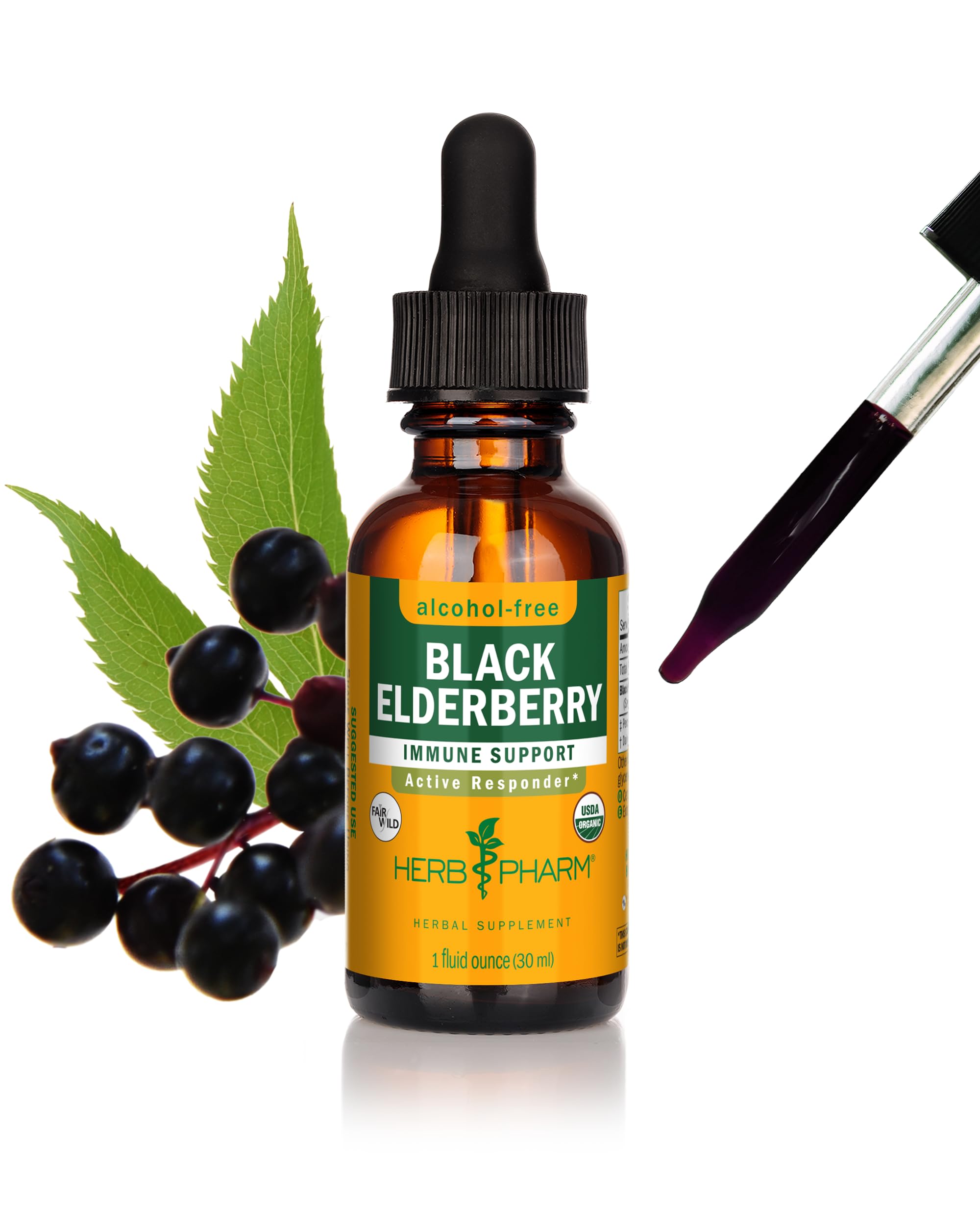 organic elderberry liquid extract