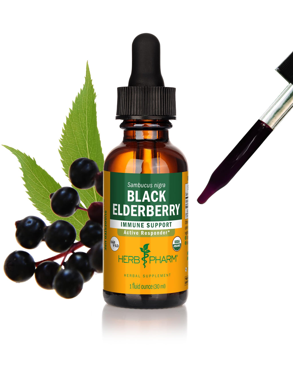organic elderberry liquid extract