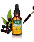organic elderberry liquid extract