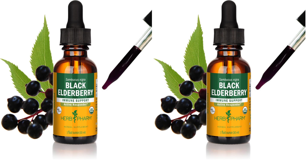 organic elderberry liquid extract