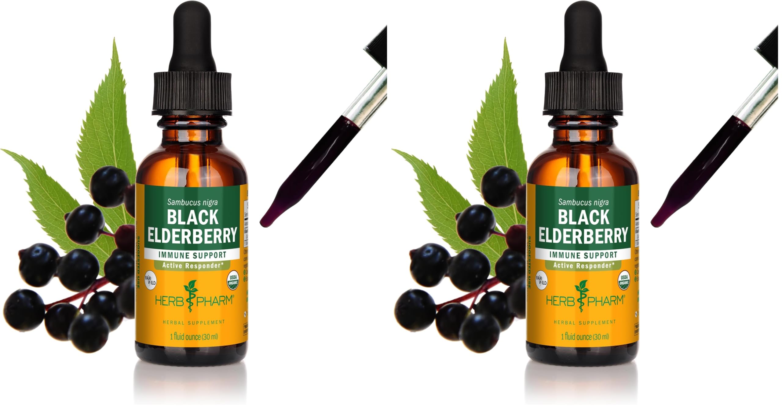 organic elderberry liquid extract