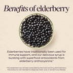 organic elderberry syrup for colds
