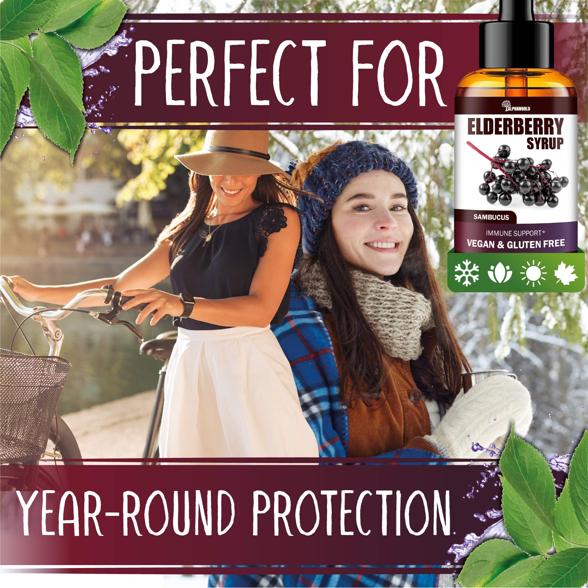 organic elderberry syrup for immune health