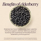 organic elderberry syrup for immunity
